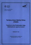 API TR 402 PDF - Norm Library